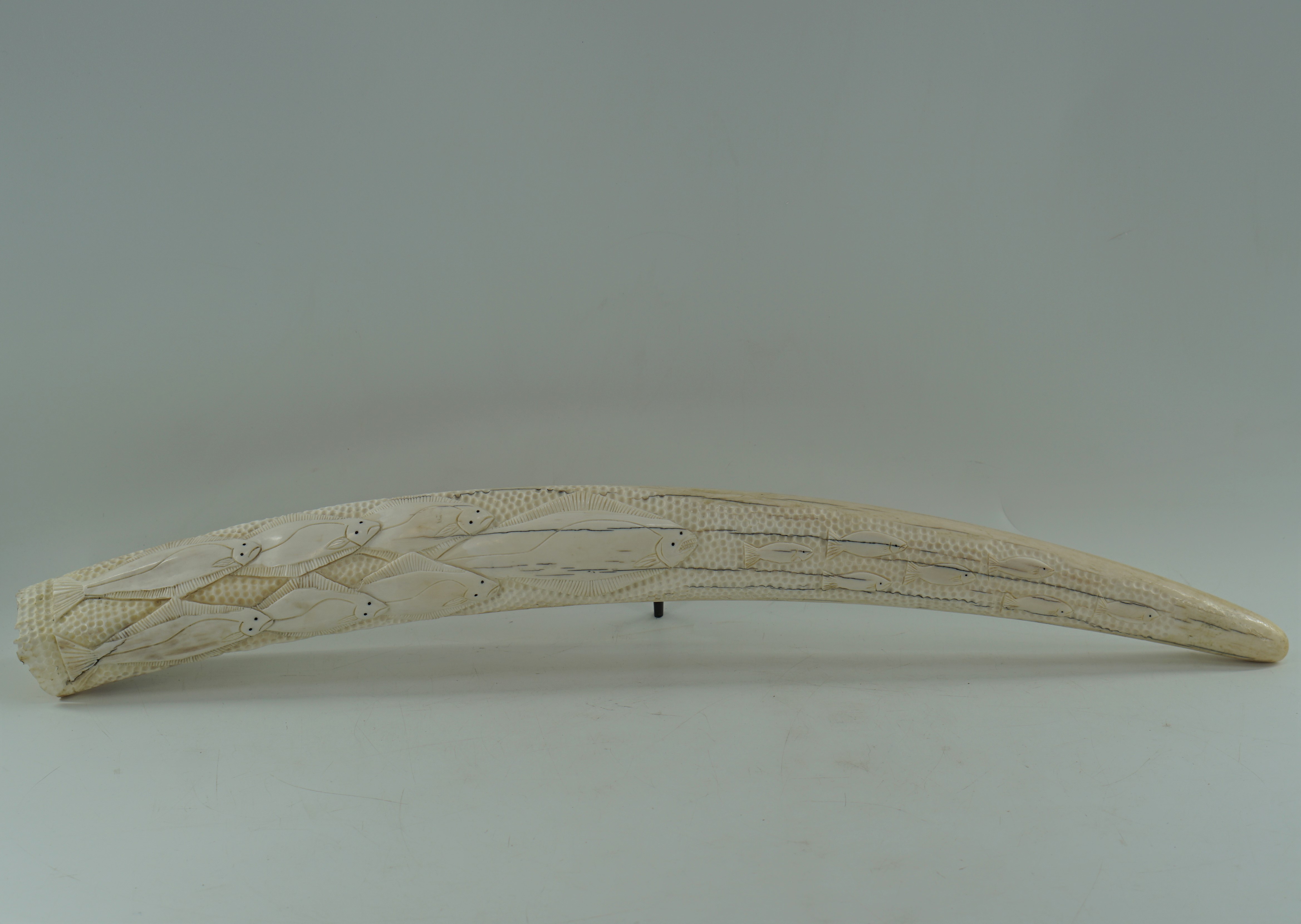 Relief carved walrus tusk with school of halibut c | Barnebys