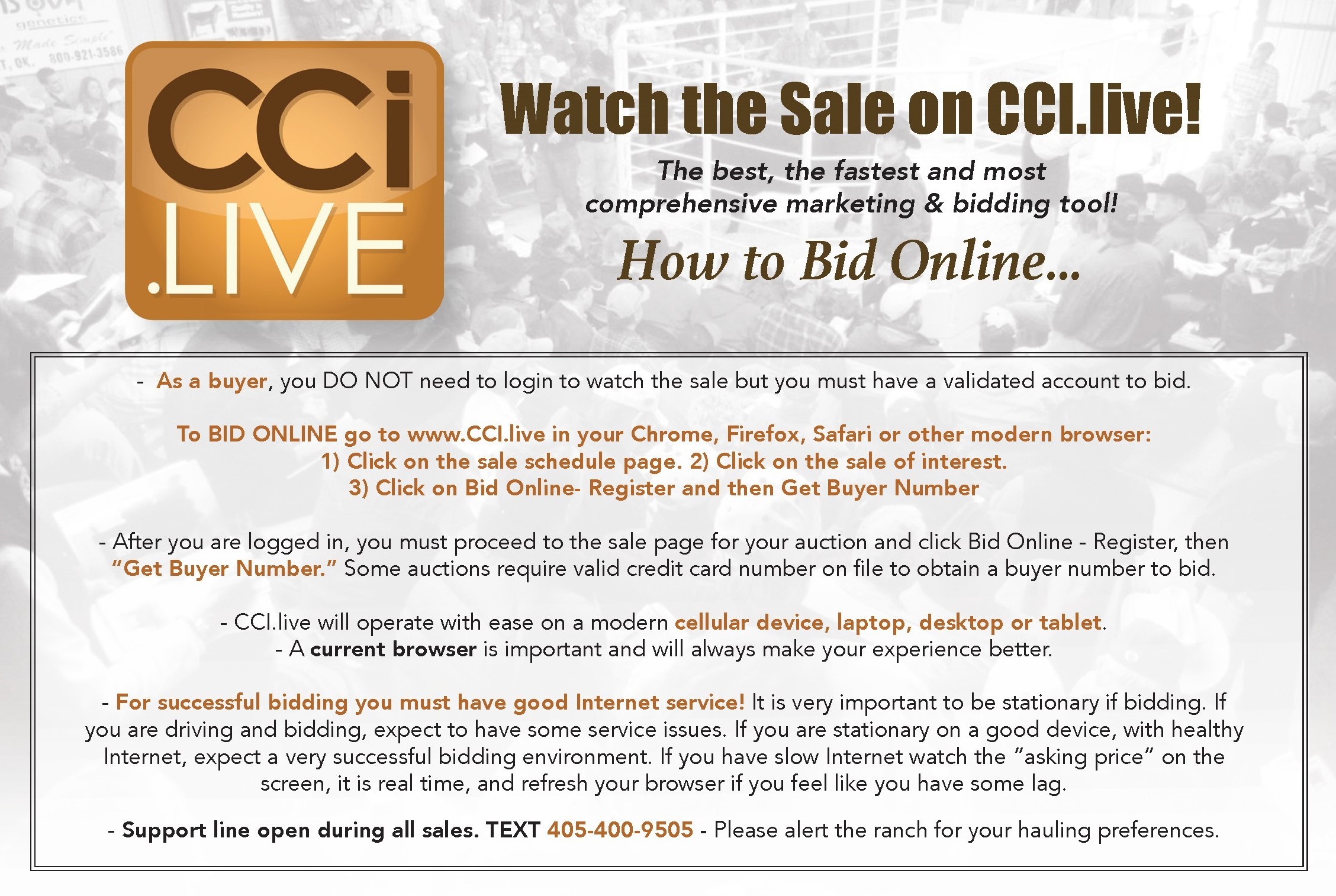 Online Bidding - CCI.Live | NRHA